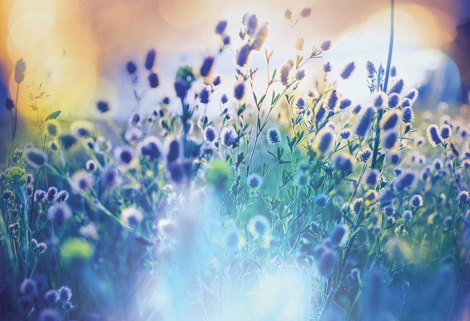 We groan inwardly…in HOPE. | Every Home for Christ